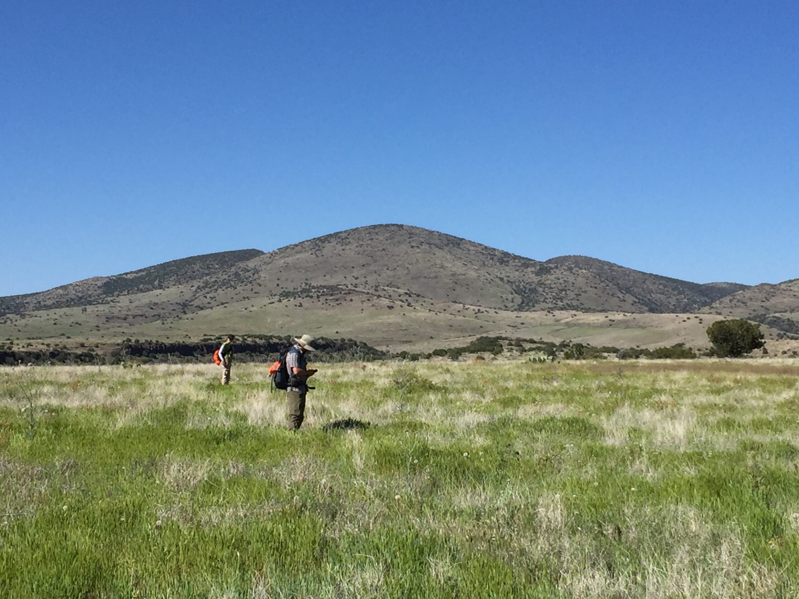 Regulatory Rollbacks: Businesses Must Prioritize Compliance